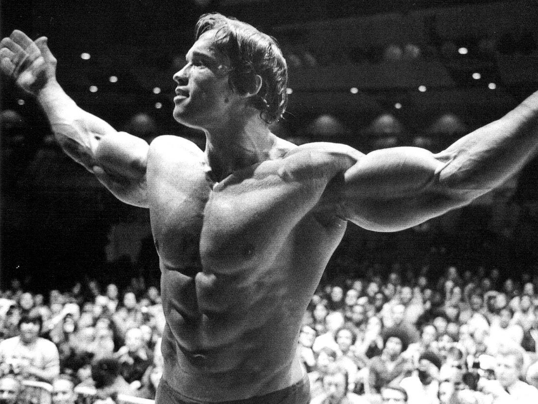 Treino Arnold Schwarzenegger Pdf - RETOEDU